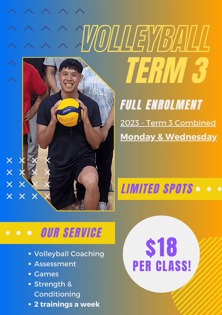 Program – Volleyball Labs