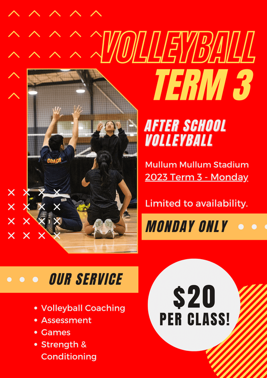 Program – Volleyball Labs