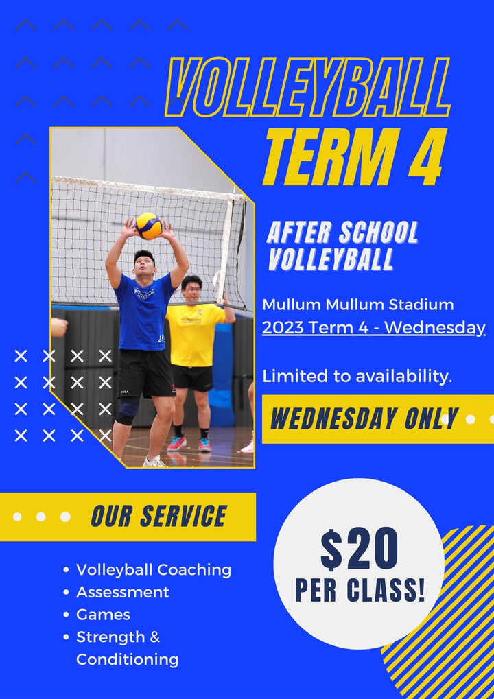 Program – Volleyball Labs