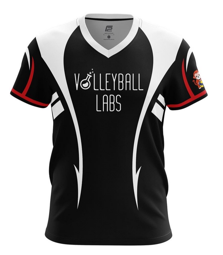 Program – Volleyball Labs