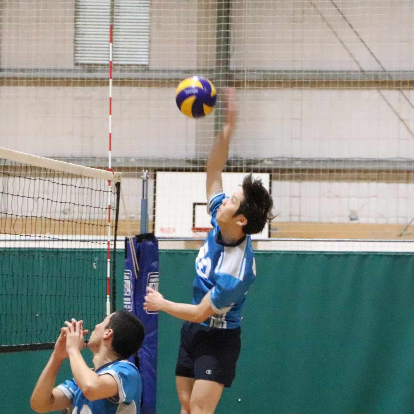 Volleyball Labs - Our Team