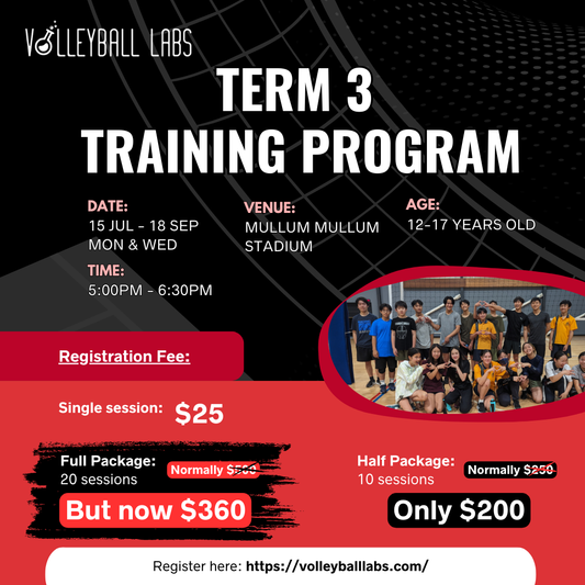 Program – Volleyball Labs