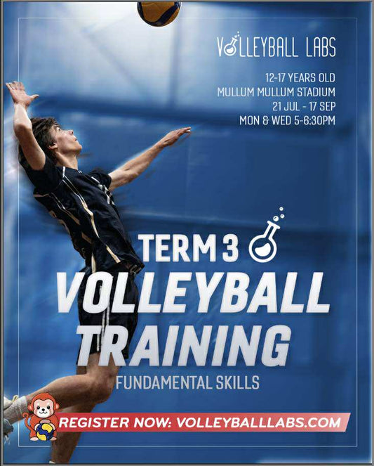 Program – Volleyball Labs