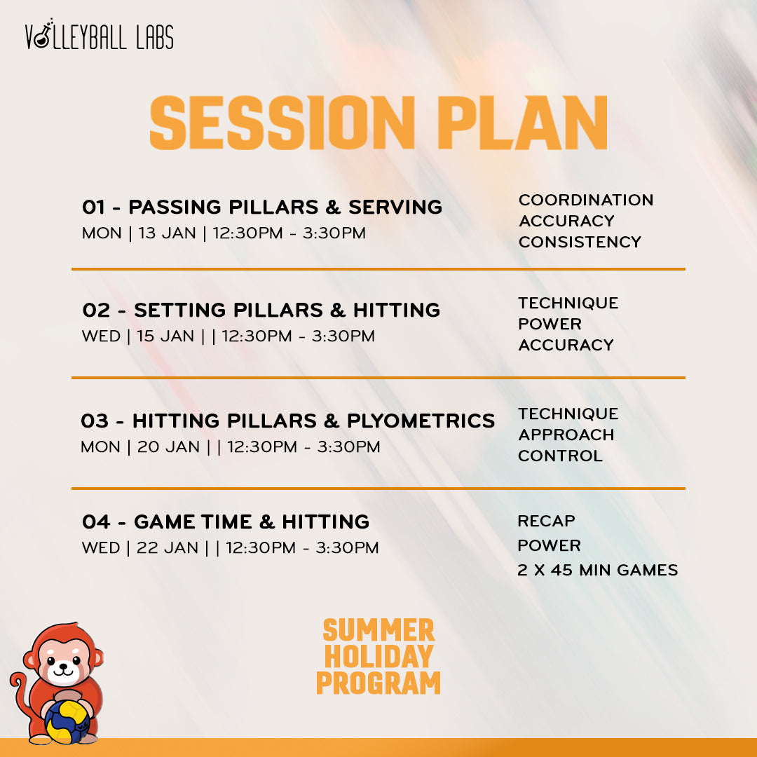 Program – Volleyball Labs