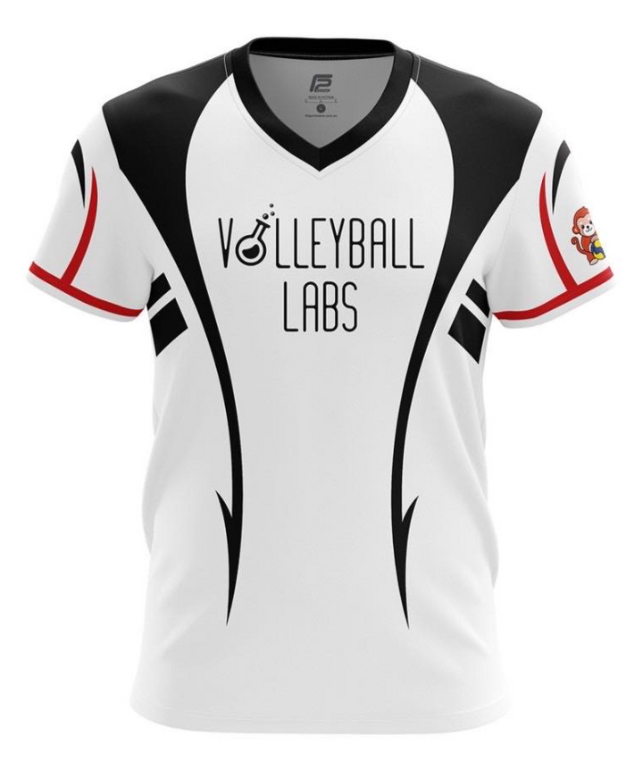 Program – Volleyball Labs